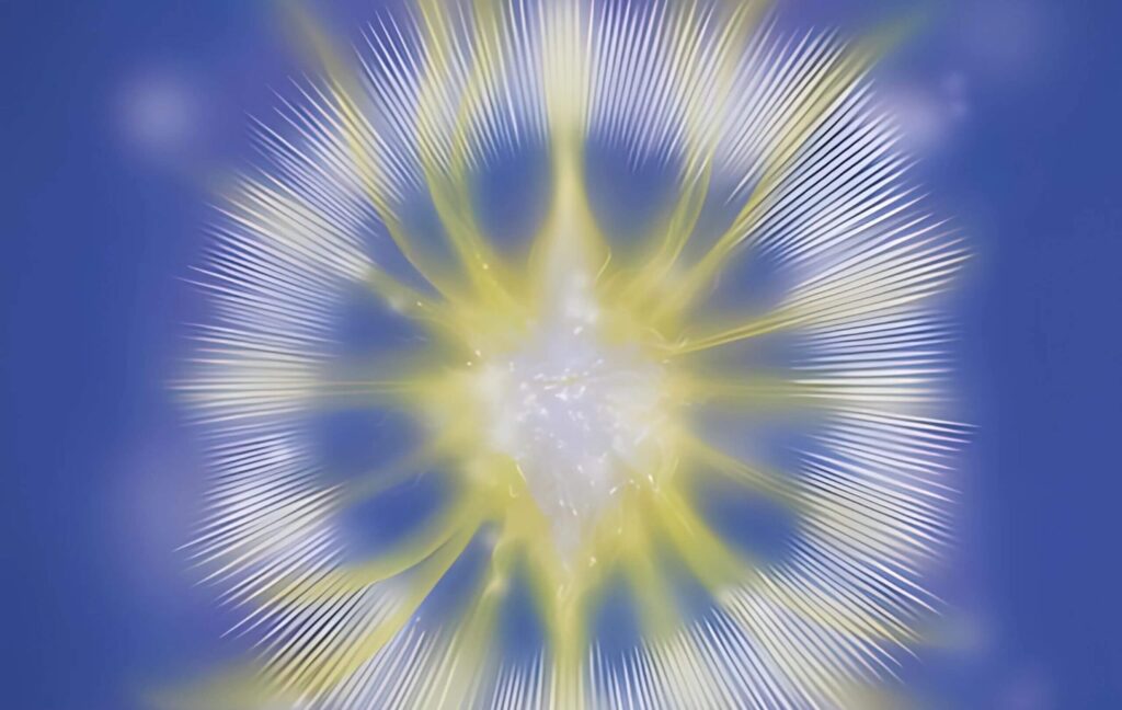 Basic Pranic Healing Class - Pranic Healing Course